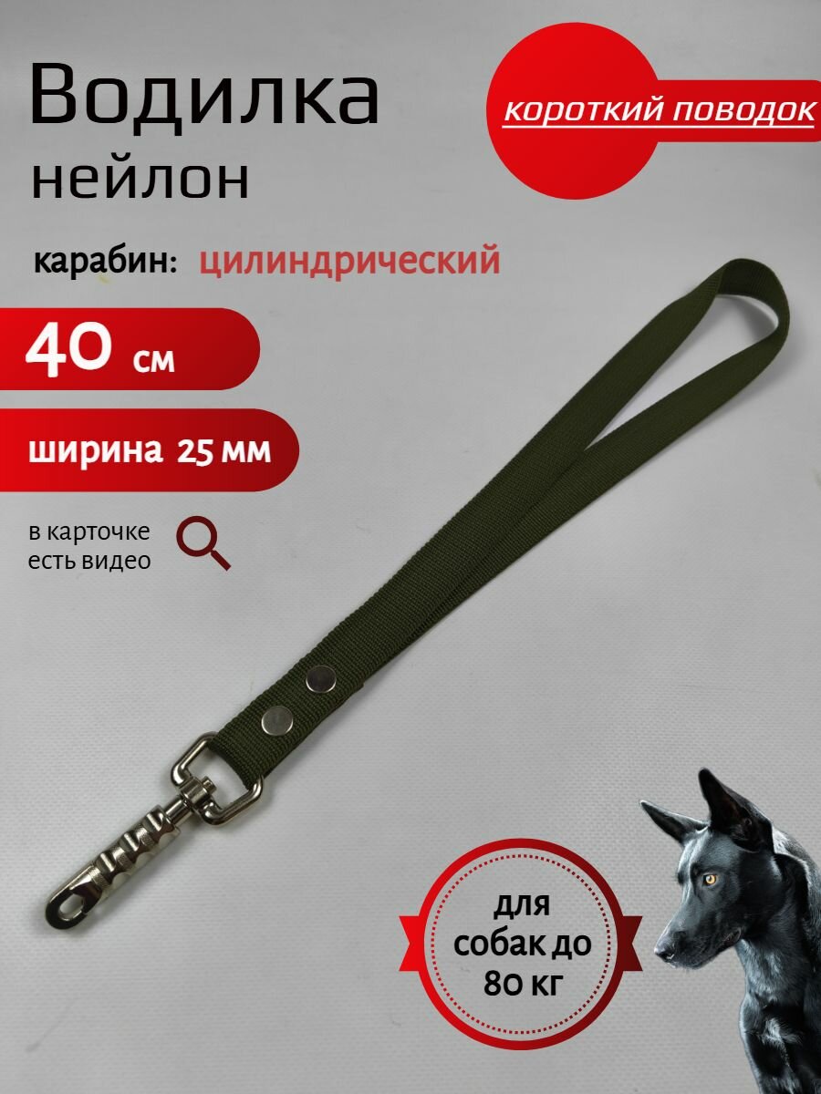 Водилка Хвостатыч для собак с цилиндрическим карабином нейлон 40 см х 25 мм (зеленый)