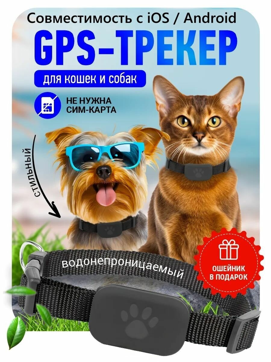 GPS-трекеры для собак, кошек и других животных