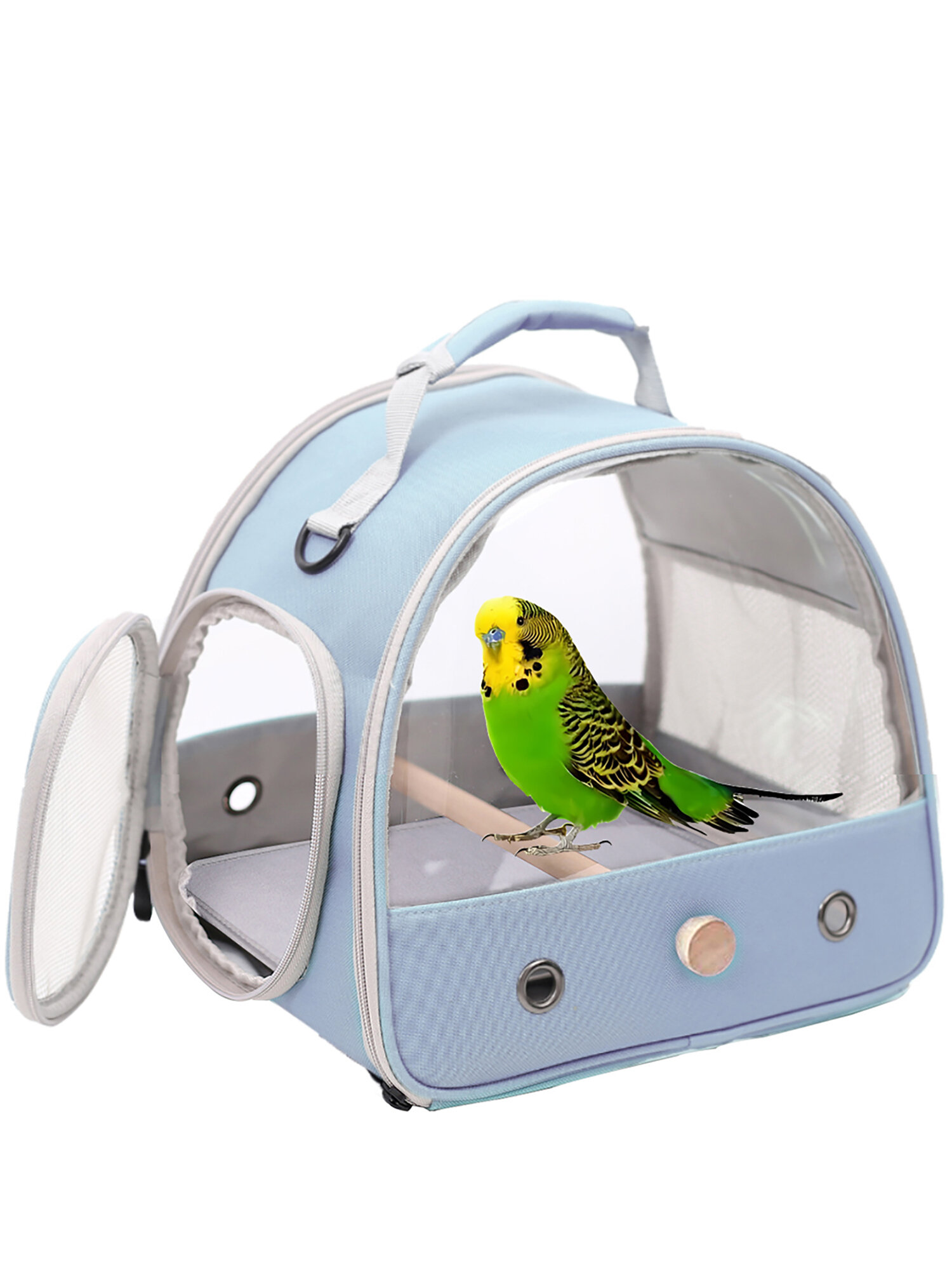 Попугай снаружи несёт сумку, с ручкой, наплечной сумкой и деревянной палкой.