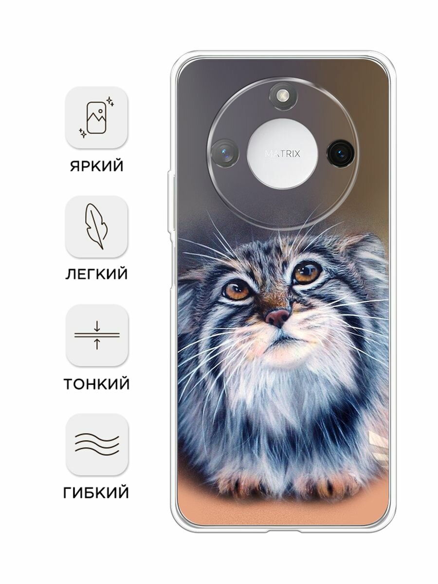 Чехол на Honor X9c Smart / Хонор X9c Смарт с принтом "Кот манул 2" — фото 1