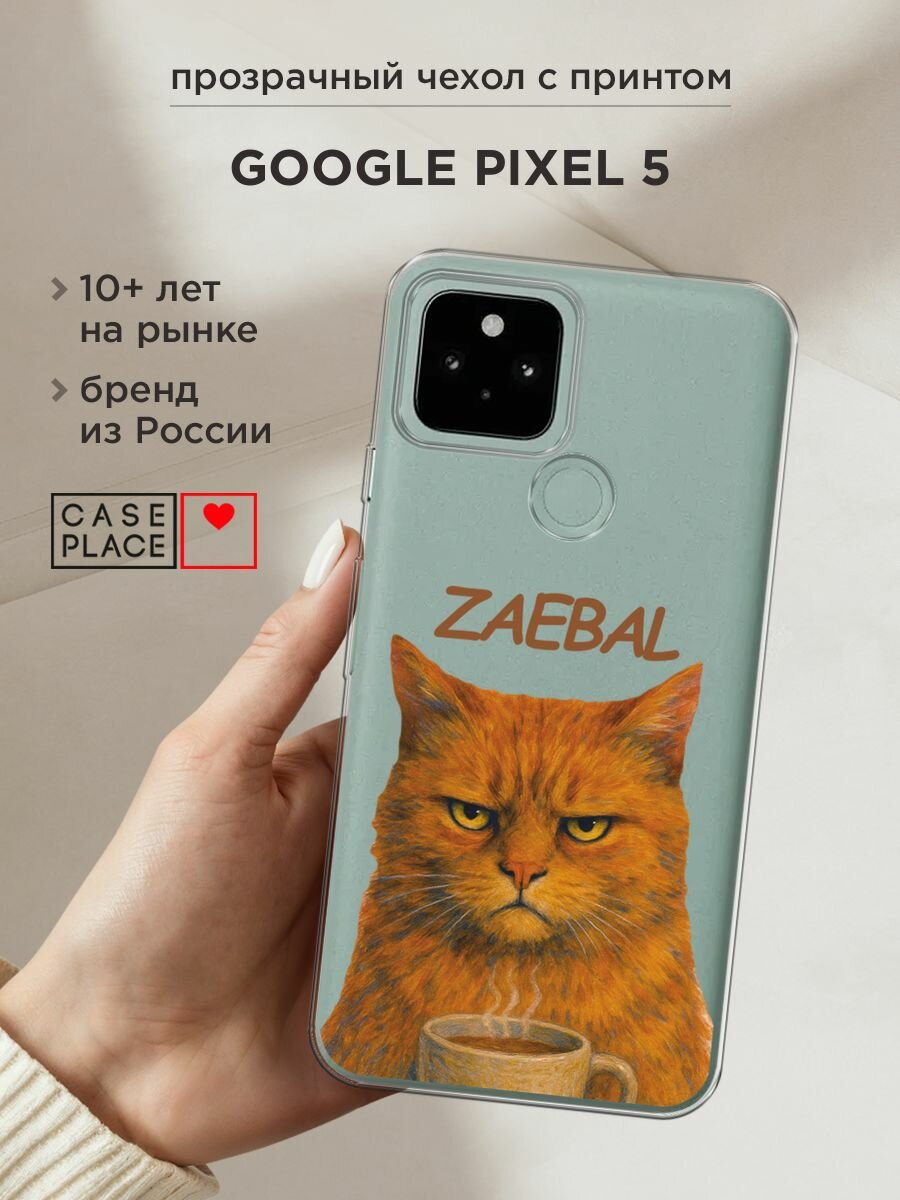 Чехол на Google Pixel 5 / Гугл Пиксель 5 с принтом "Рыжий кот с надписью", прозрачный