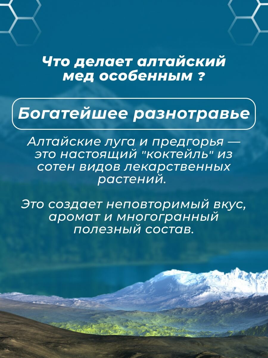 Алтайский мед, натуральный, лечебный, жидкий, сбор 2025 года — фото 1