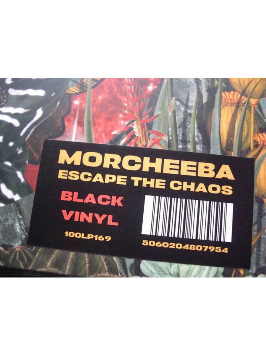 Morcheeba-Escape The Chaos — фото 1