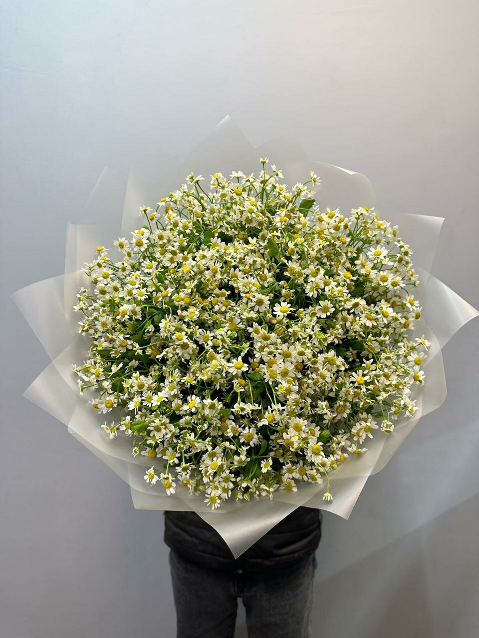 Ромашки 25 шт. / Букет из кустовых ромашек / Цветы Москва Доставка