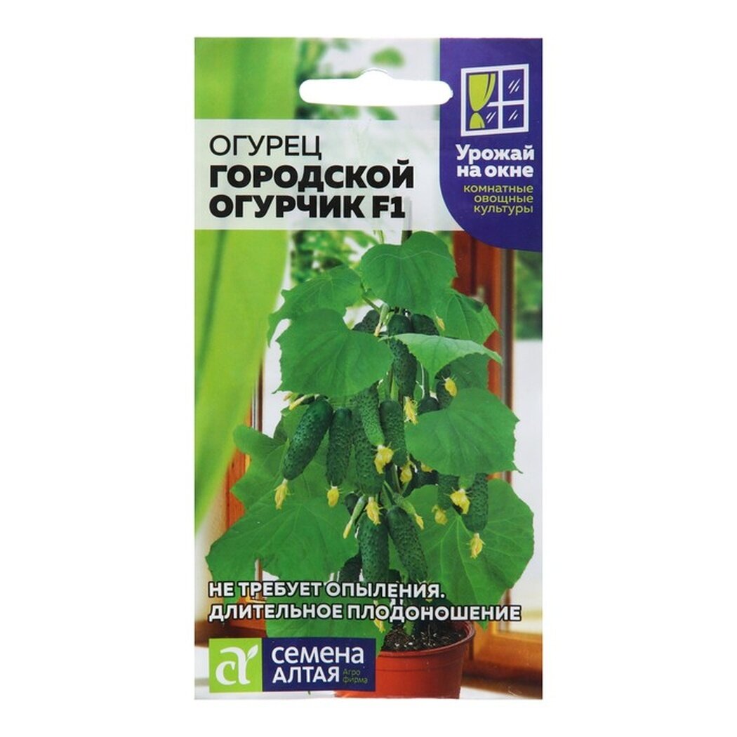 Семена огурца "Городской Огурчик" F1, скороспелые, партенокарпические, 5шт