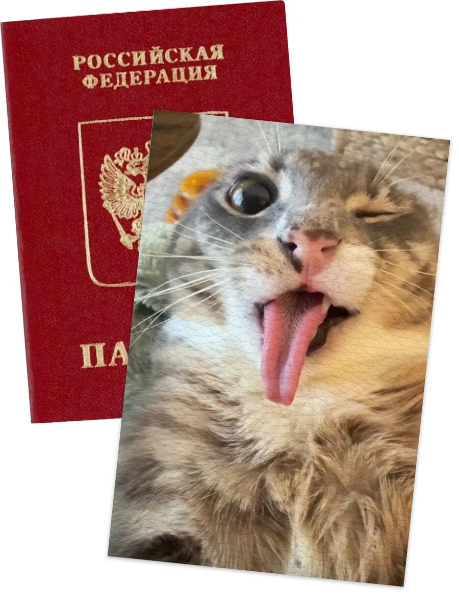 Обложка для паспорта