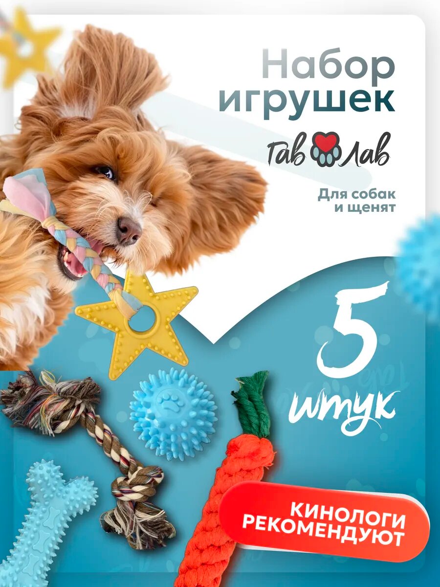 Набор игрушек для щенков и собак мелких и средних пород