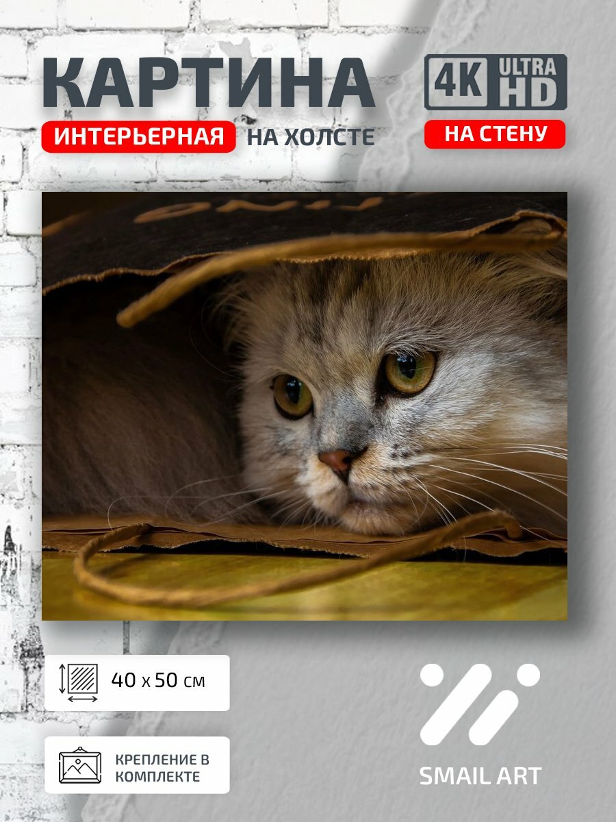 Картина на холсте интерьерная 40 на 50 на стену Грусть Animal для кафе animal style декор