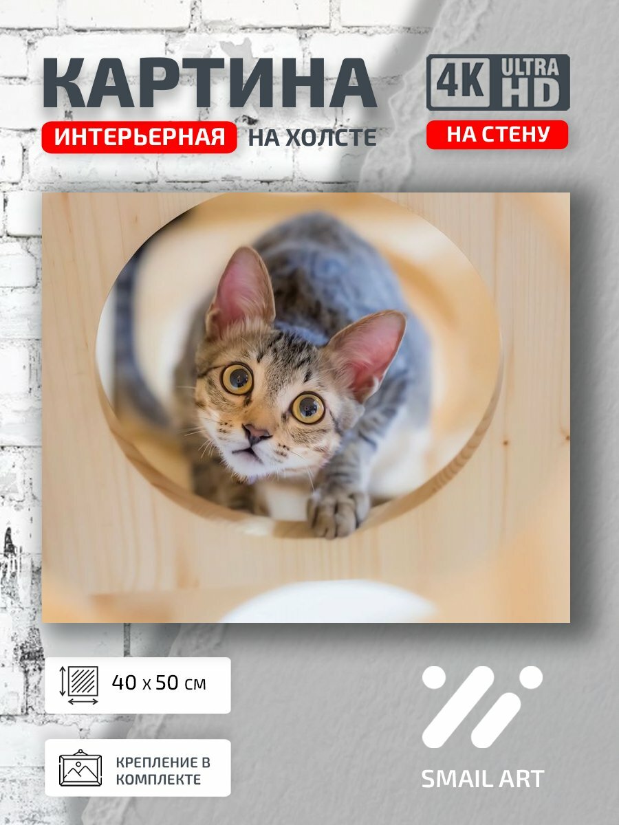 Картина на холсте интерьерная 40 на 50 на стену Взгляд Animal для детской animal style