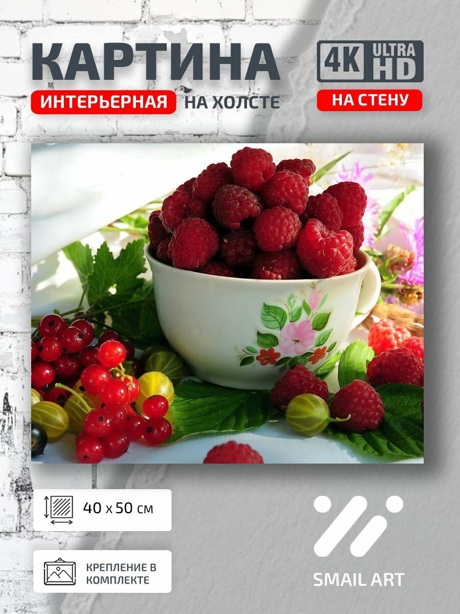 Картина на холсте интерьерная 40 на 50 на стену Смородина Food для кухни кулинария интерьер