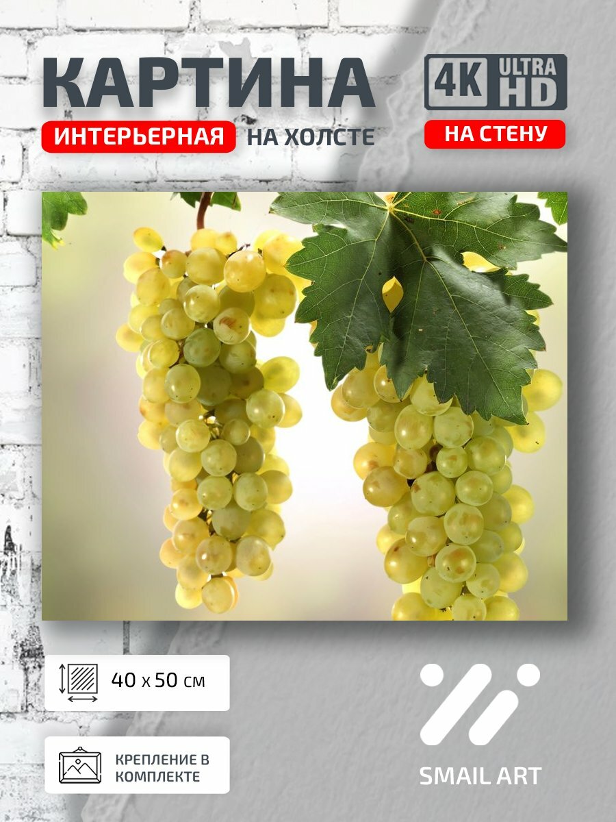 Картина на холсте интерьерная 40 на 50 на стену Ветка Food для офиса кулинария интерьер