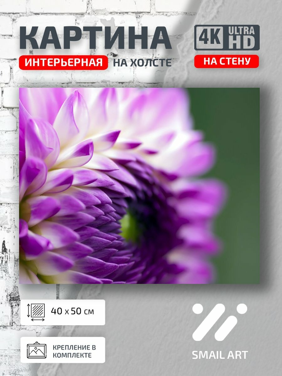 Картина на холсте интерьерная 40 на 50 на стену Цветок Landscape для гостиной пейзаж декор