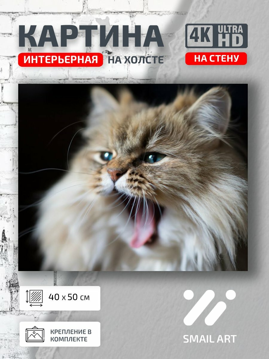 Картина на холсте интерьерная 40 на 50 на стену Зевающий Animal для кафе animal style декор