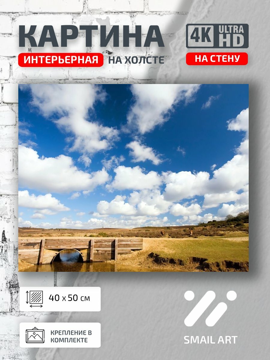 Картина на холсте интерьерная 40 на 50 на стену Степь Landscape для спальни пейзаж интерьер