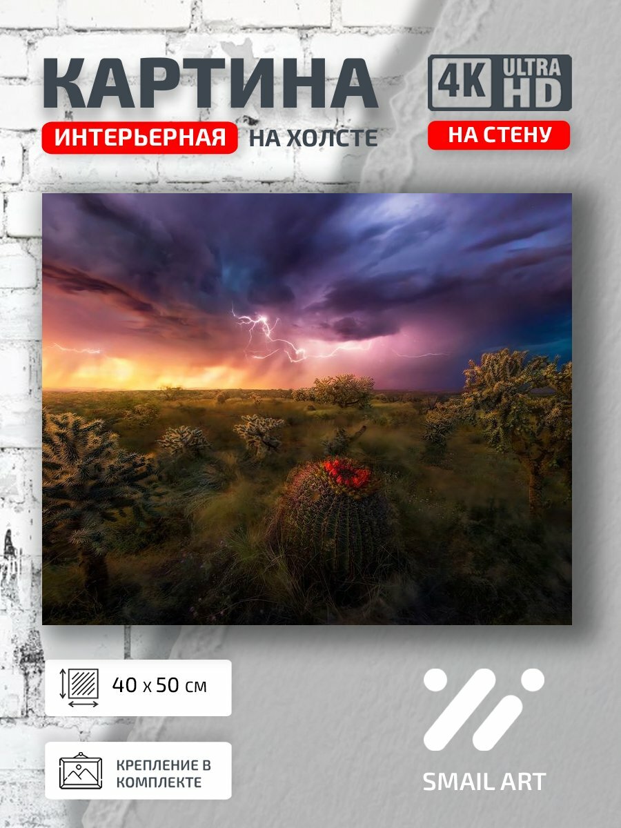 Картина на холсте интерьерная 40 на 50 на стену Небо Landscape для кабинета пейзаж интерьер