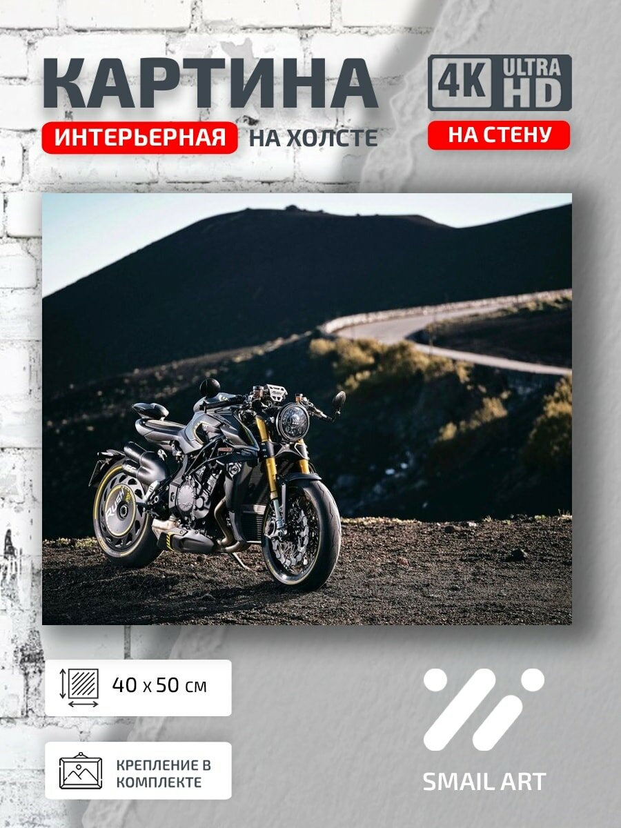Картина на холсте интерьерная 40 на 50 на стену Агуста Раш для кабинета атмосфера