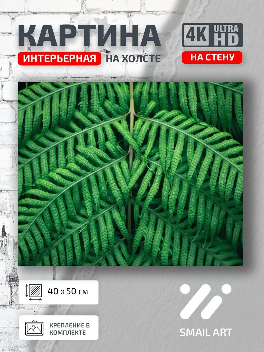 Картина на холсте интерьерная 40 на 50 на стену Зеленые листья для спальни пейзаж