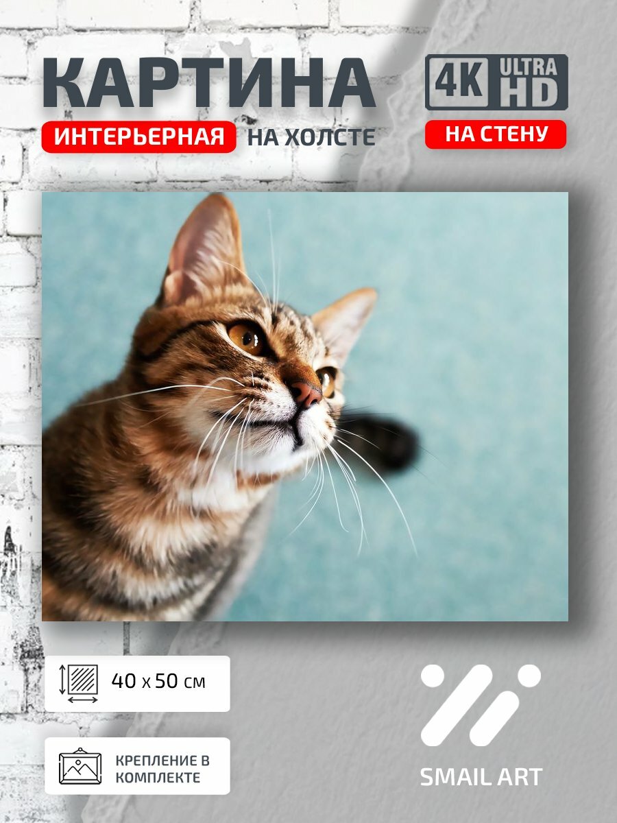 Картина на холсте интерьерная 40 на 50 на стену Полосатый Animal для гостиной animal style