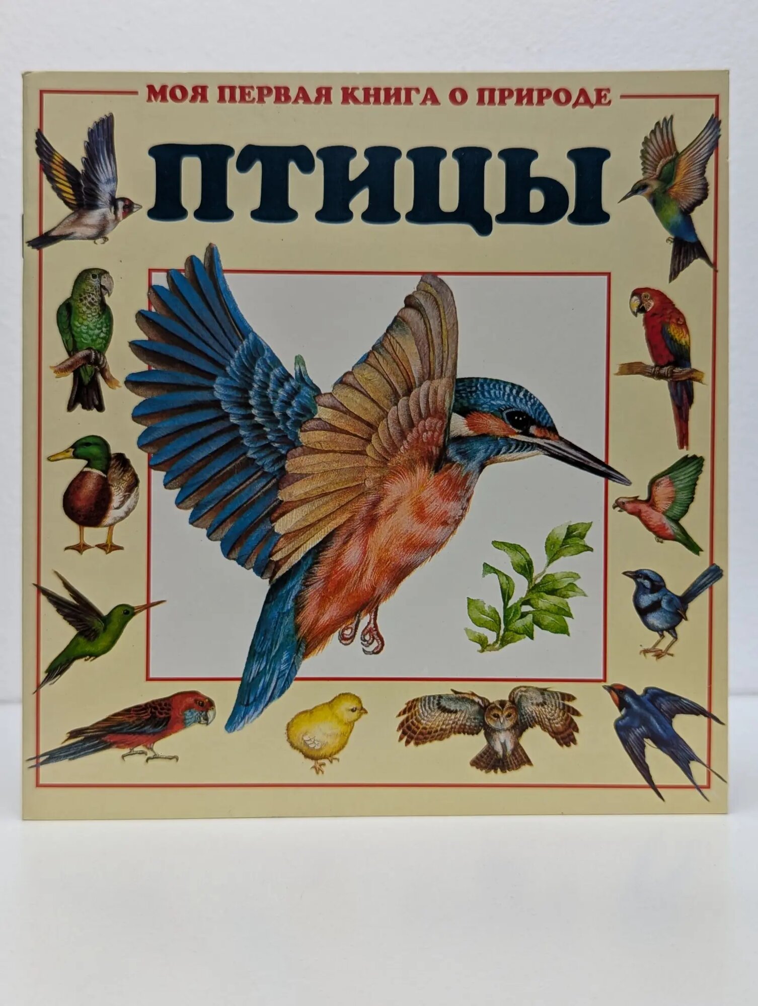 Птицы Кидман Кокс Розамунд -, Корк Барбара - 1996