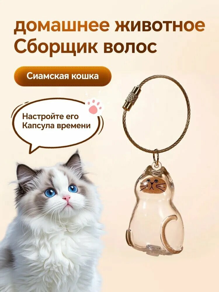 Брелок для кошачьей шерсти, хранение , Силиконовая Капсула Памяти с Функцией Сохранения , сиамская кошка