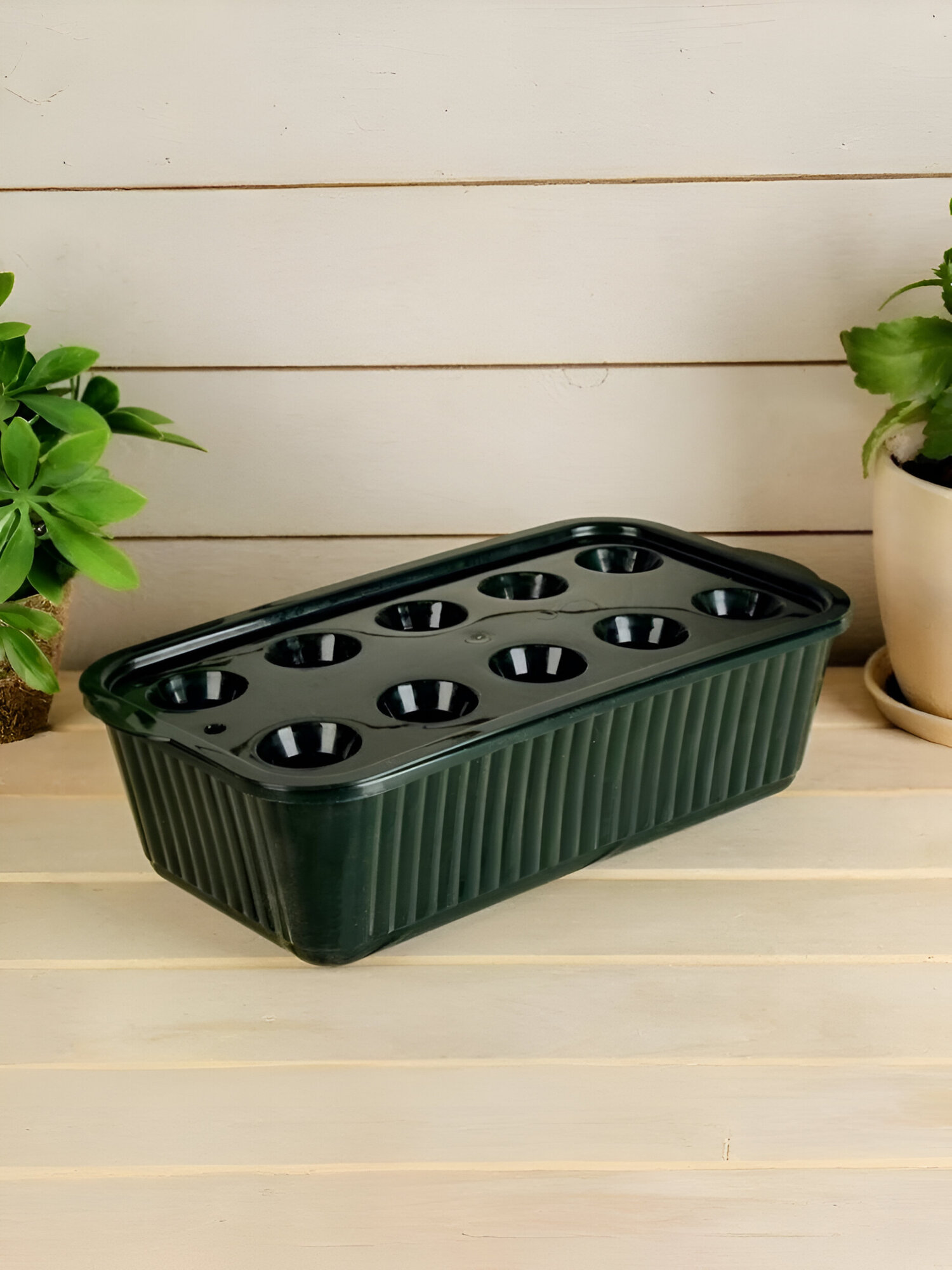 Контейнер для выращивания зеленого лука 305х160х85 мм, М6715, 10, Альтернатива