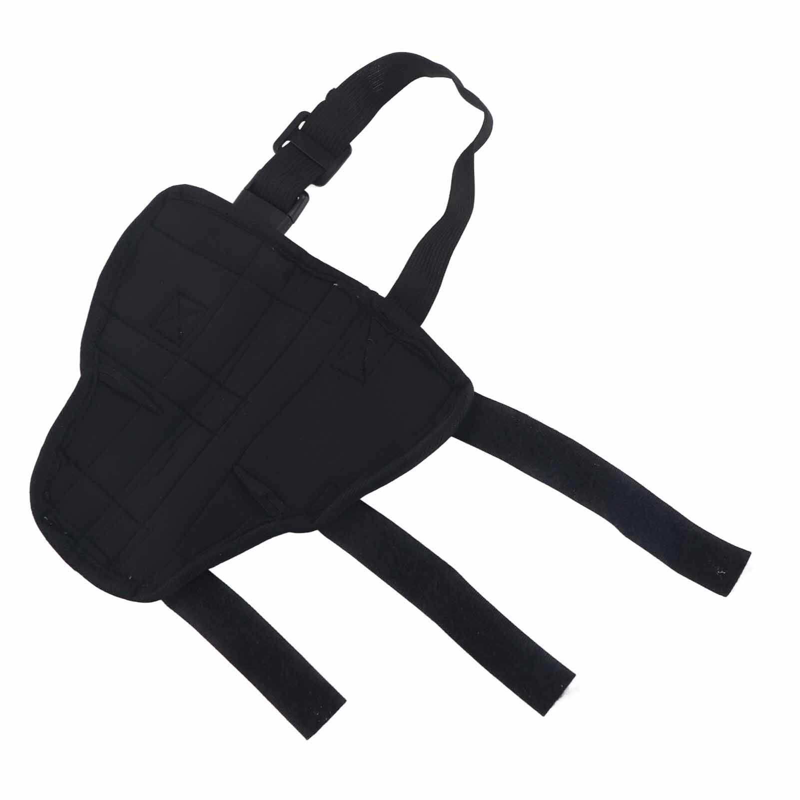 Ортез для задней лапы собаки