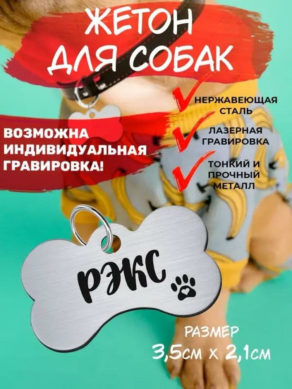 Адресник для собаки с гравировкой, нерж. сталь, серебристый, Рэкс
