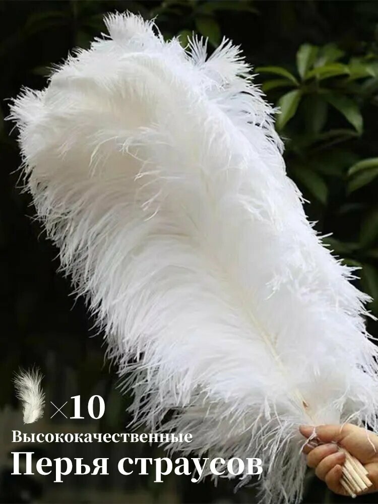 Перо страуса для декора и творчества. 30-35 см. 10 шт. Белый.