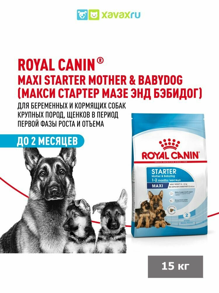 Сухой корм Royal Canin Maxi Starter для щенков крупных размеров до 2-х месяцев, беременных и кормящих сук, 15 кг