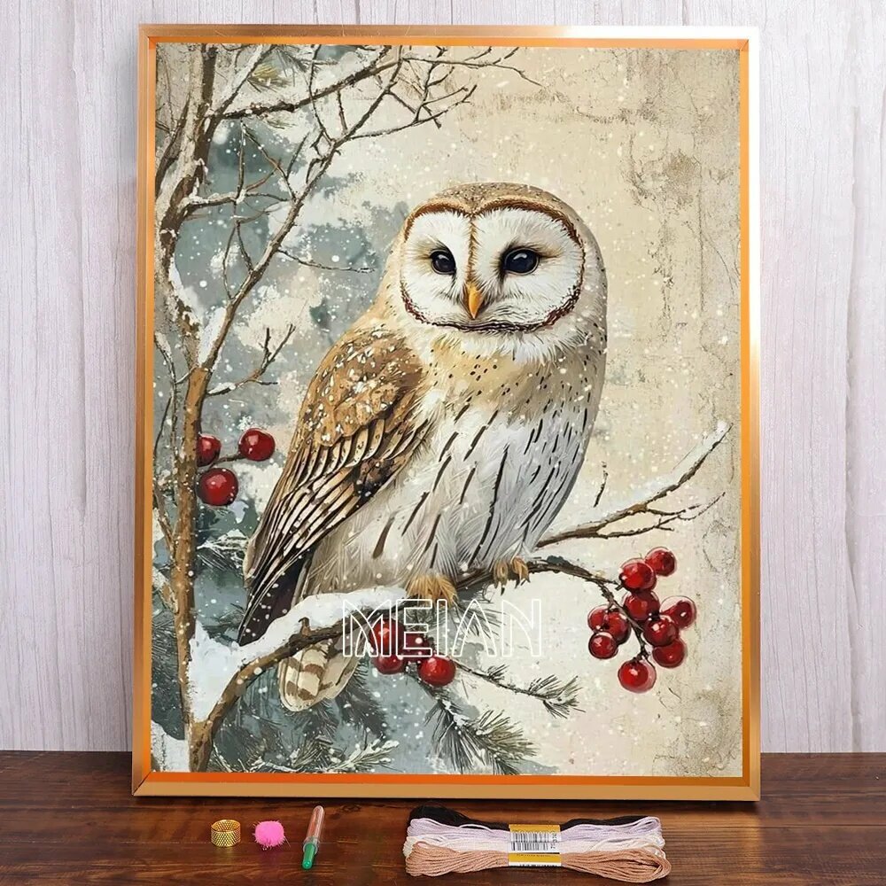 MEIAN Крестный комплект стежка,50x70CM,14CT, Зимняя сова