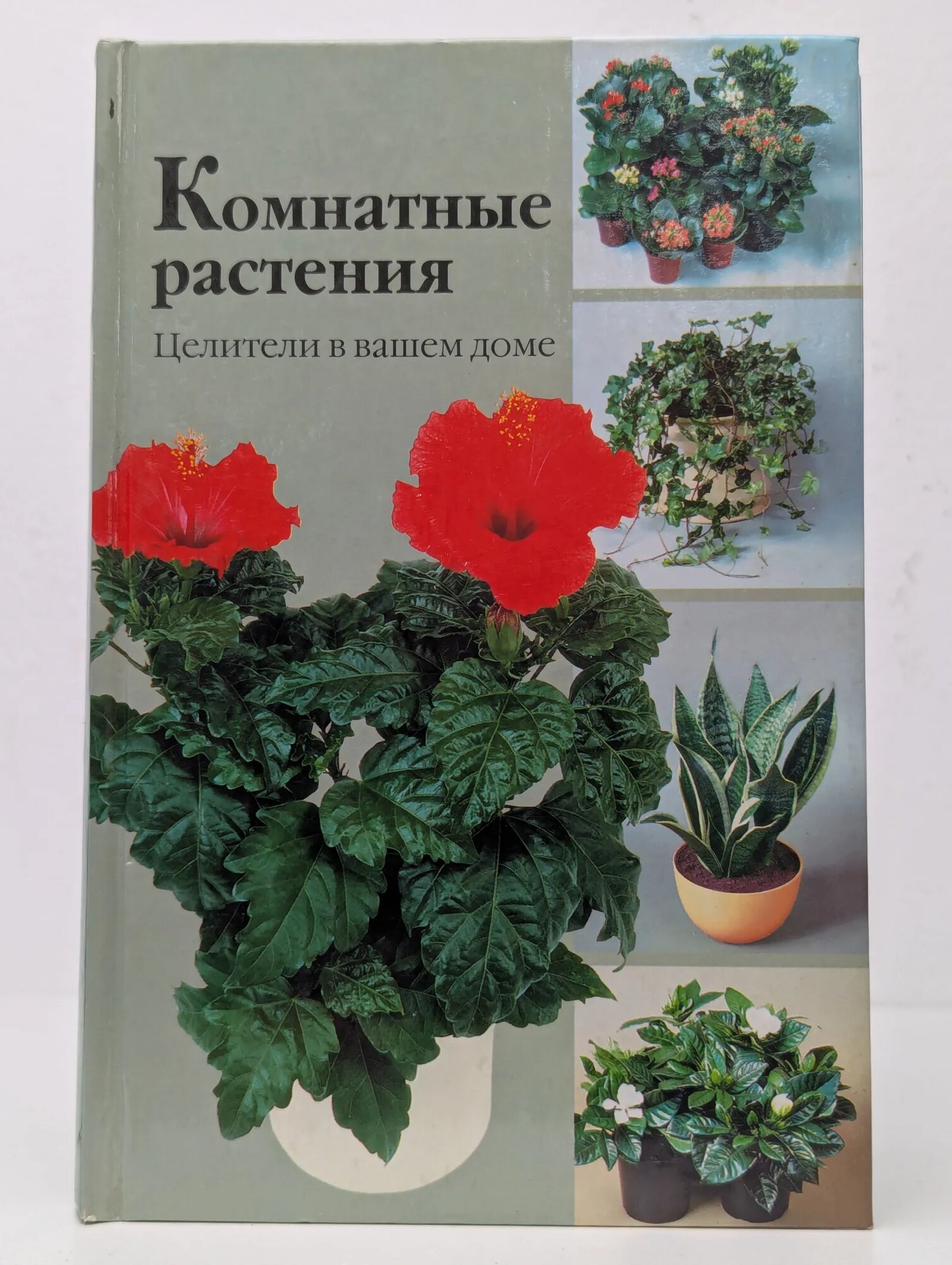Комнатные растения. Целители в вашем доме Яковлев Геннадий Павлович, Гортинский Георгий Борисович 2001