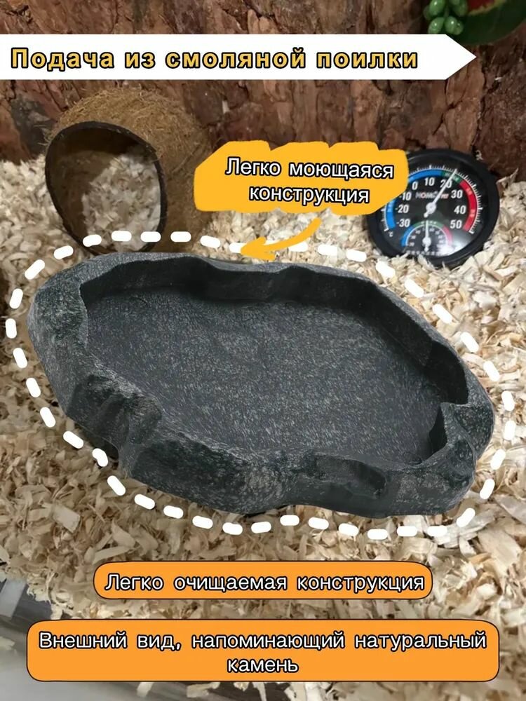 Кормушка поилка для ящериц, пауков, игуан, хамелеонов, рептилий и черепах для террариума и аквариума нефритово-зеленый, 18 14 2 см