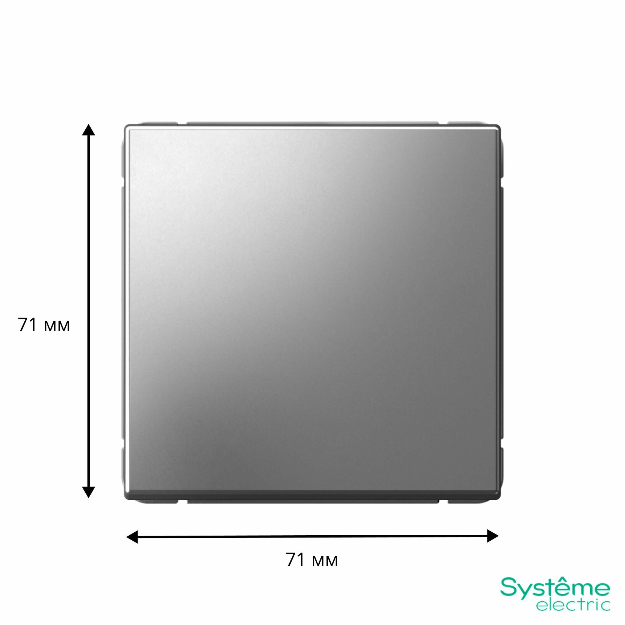 Выключатель одноклавишный Systeme Electric схема 1, 10АХ, сталь, Artgallery