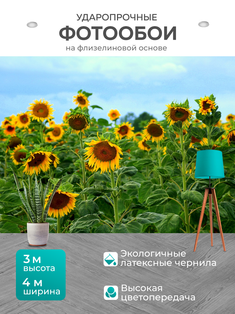 Фотообои моющиеся ударопрочные "Подсолнухи, поле подсолнухов, культивирование" 400x300 см. флизелиновые на стену