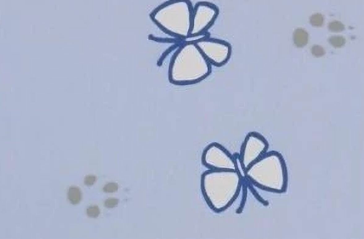 Обои винил на флизелине 0.53м Marburg 71614