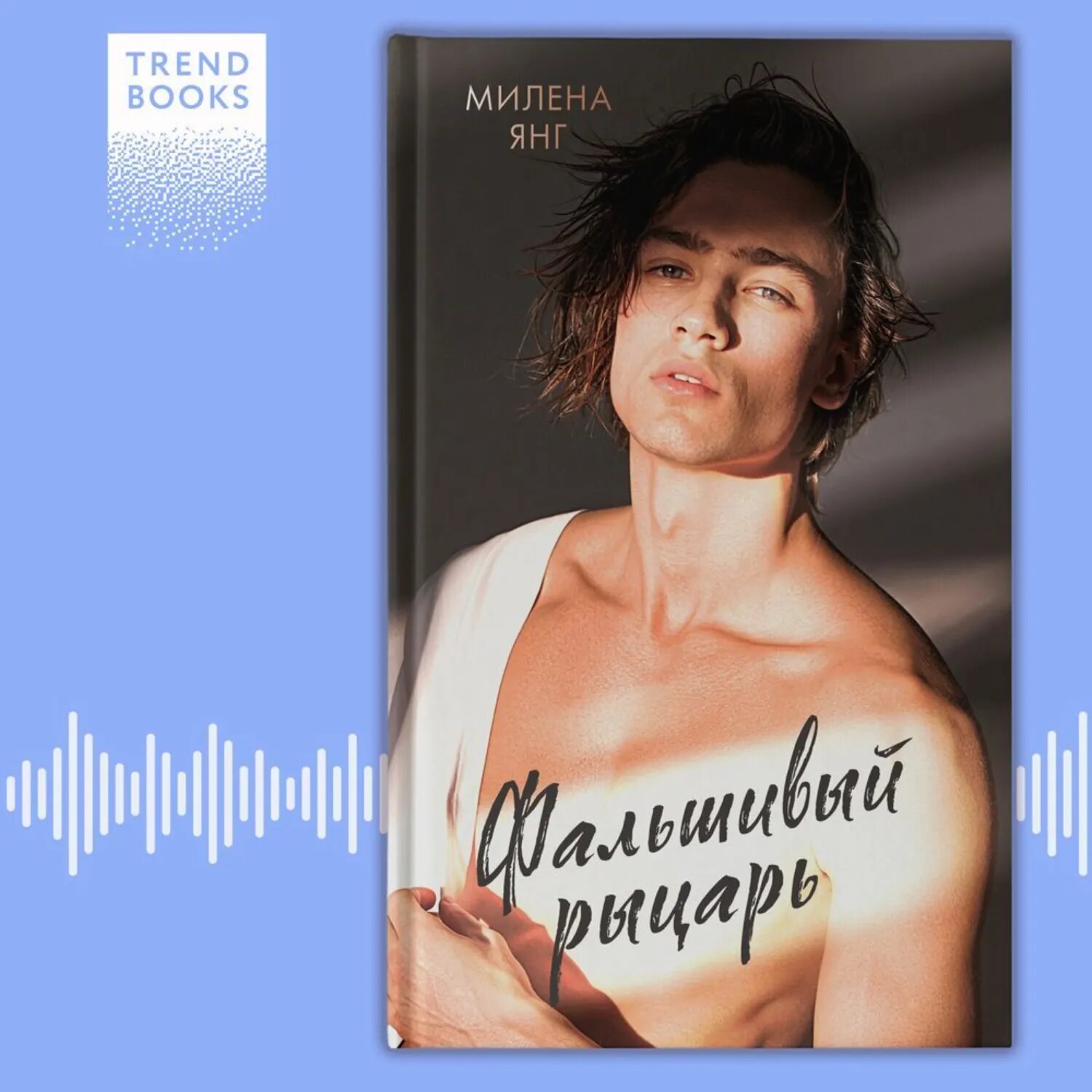 Фальшивый рыцарь [Аудиокнига]