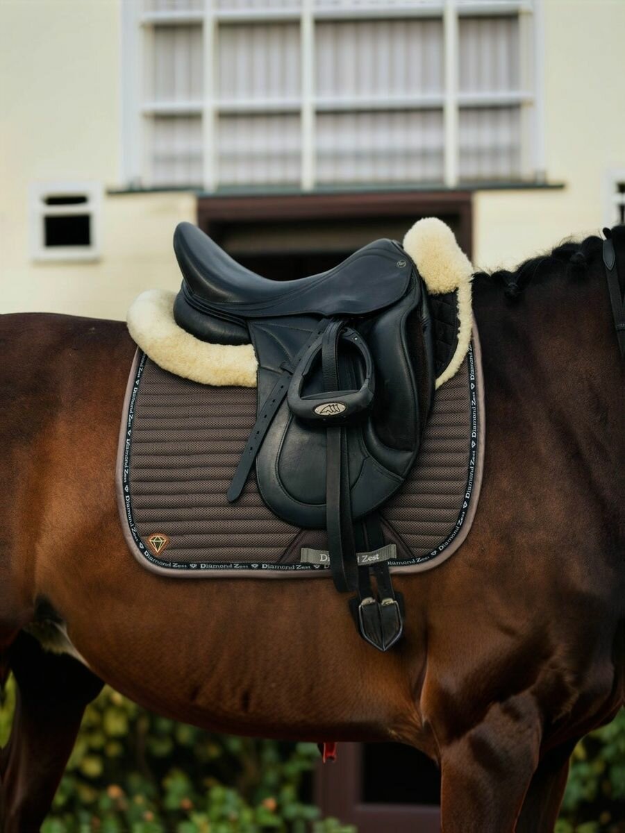 Вальтрап выездковый AIR Graphite Diamond Zest для лошади спортивный