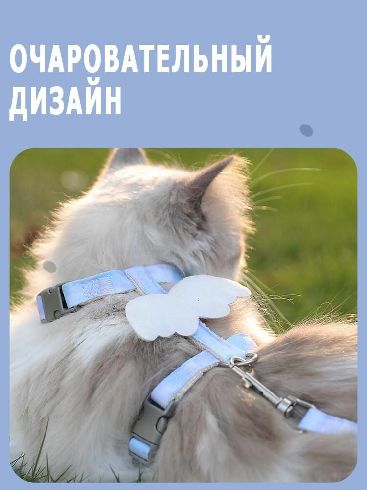 Шлейка — фото 1