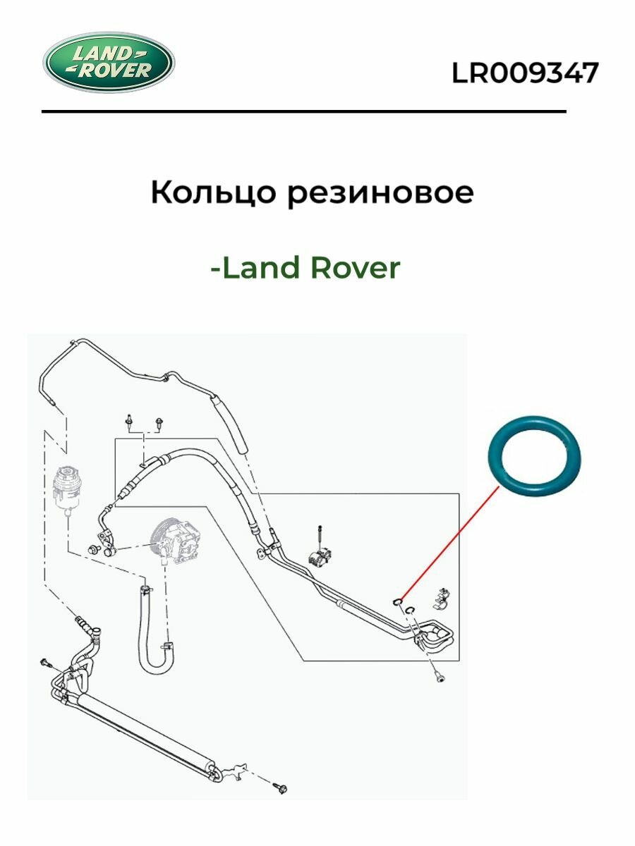 Кольцо уплотнительное для авто