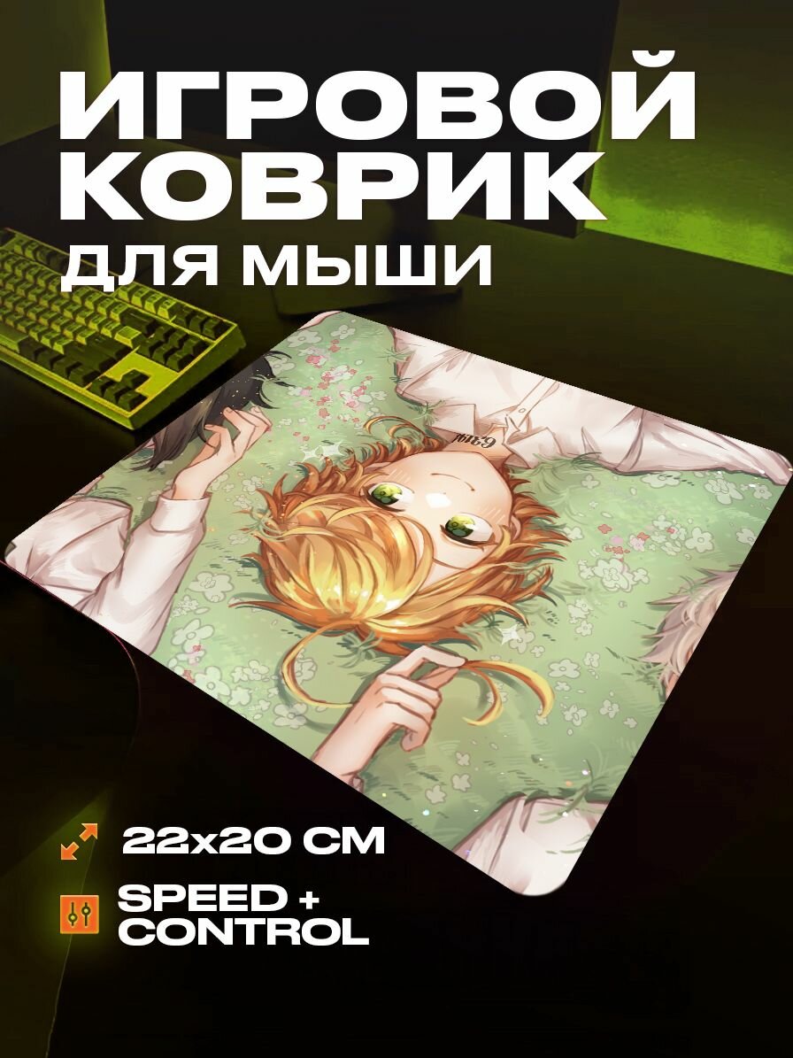 Коврик для мыши игровой Обещанный Неверленд 22 на 20 аниме