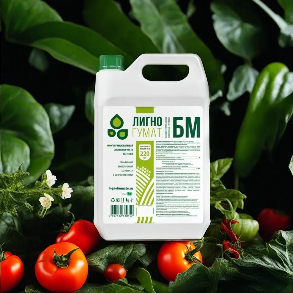 Лигногумат БМ 5 литров
