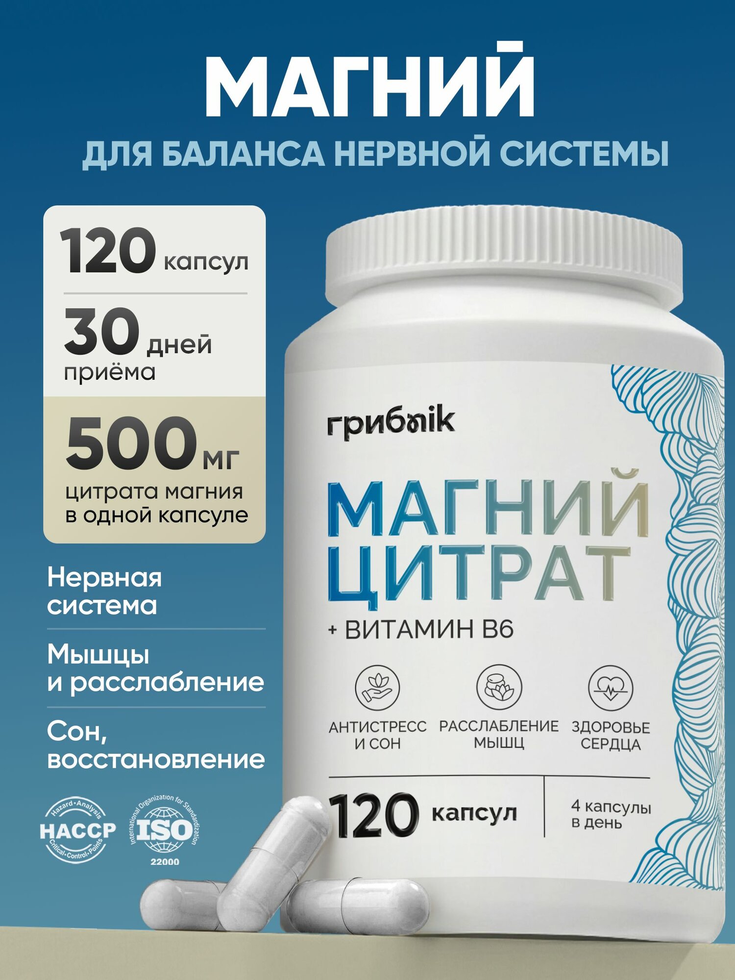 Магний Цитрат с витамином В6 , магний в6, 120 капсул по 610 мг, грибnik