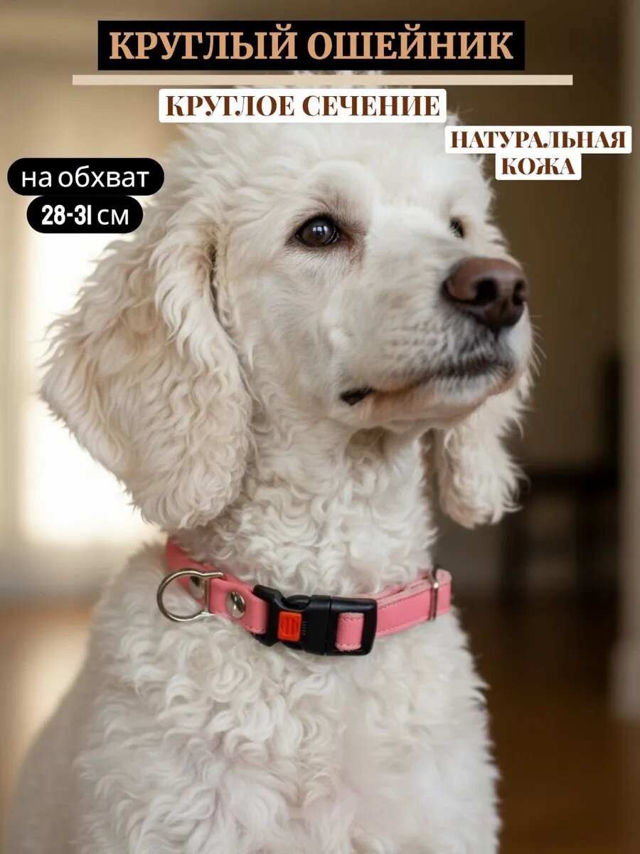 Dogbond Ошейник для шпица круглый кожаный 28-31 см