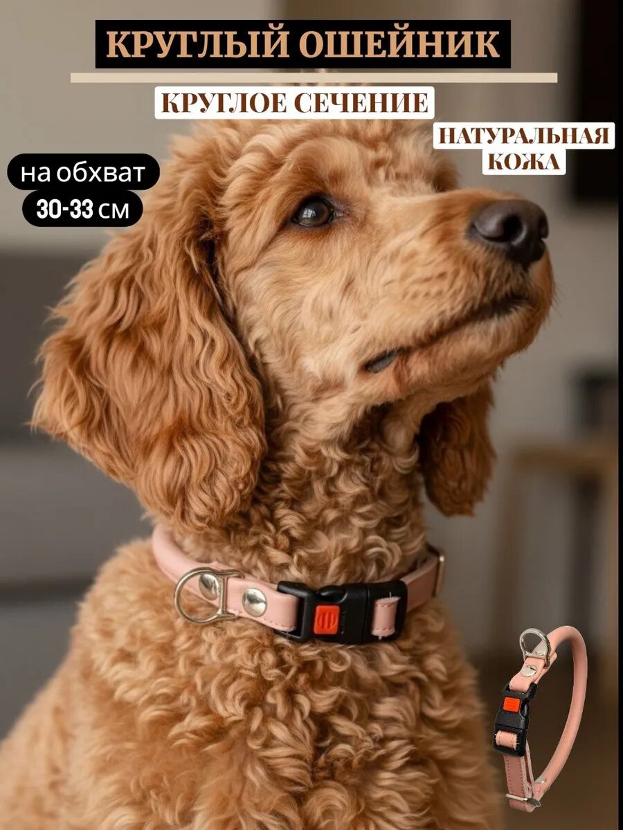 Dogbond Ошейник для шпица круглый кожаный 30-33 см