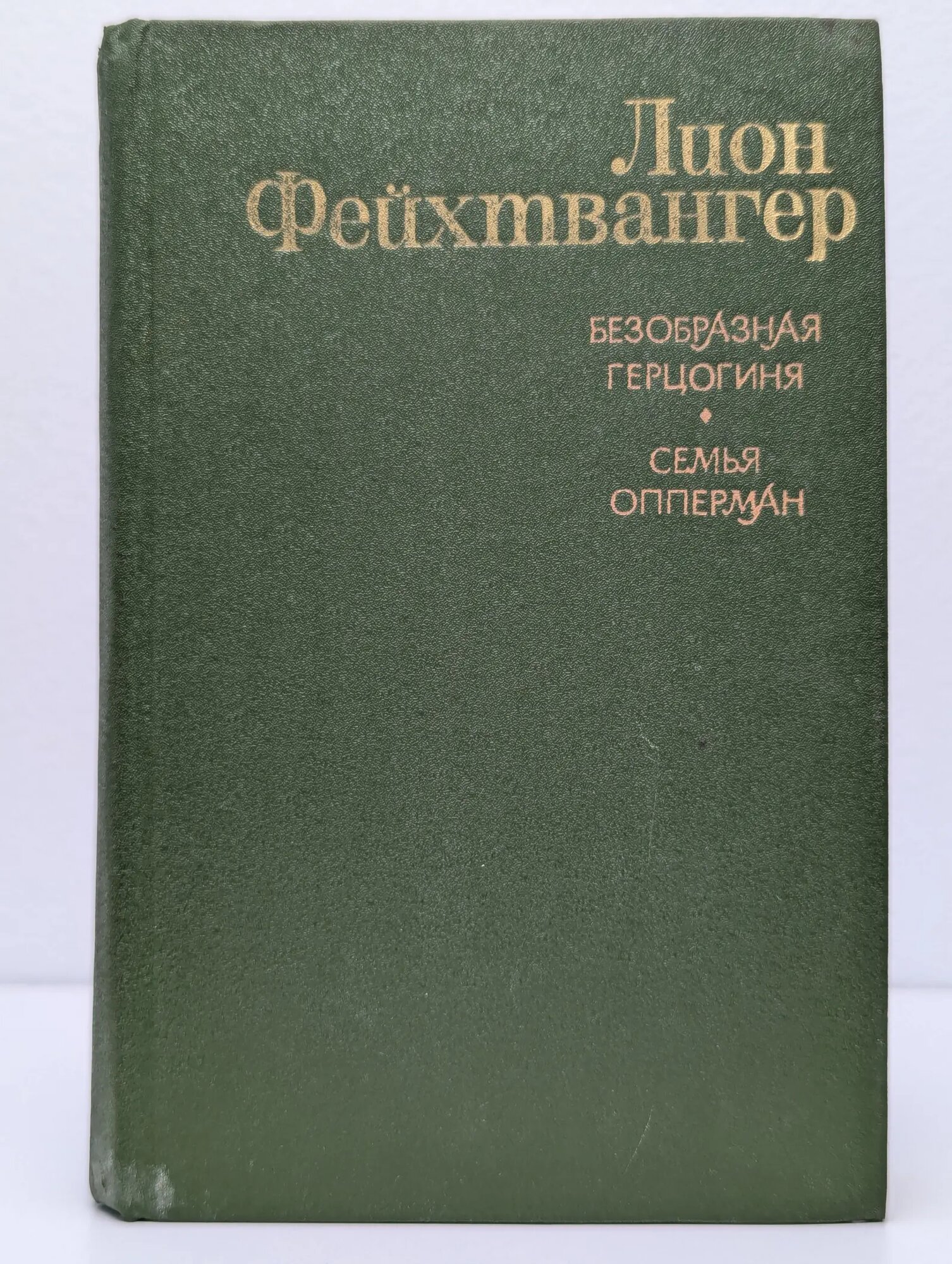 Безобразная герцогиня. Семья Опперман Фейхтвангер Лион 1979