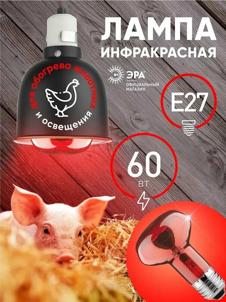 Лампа инфракрасная "Для домашних животных", для террариумов и брудеров, цоколь Е27, 75Вт