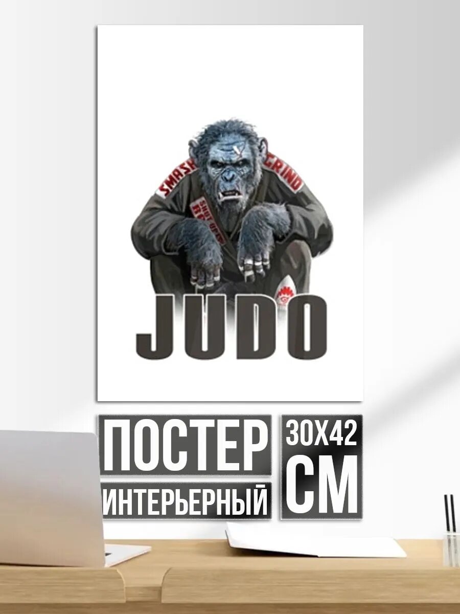 Постер на стену Judo