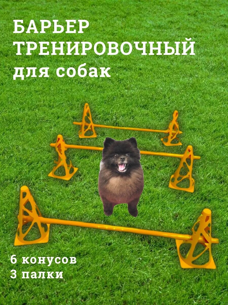 Барьер тренировочный для собак (3 палки, 6 конусов) для аджилити