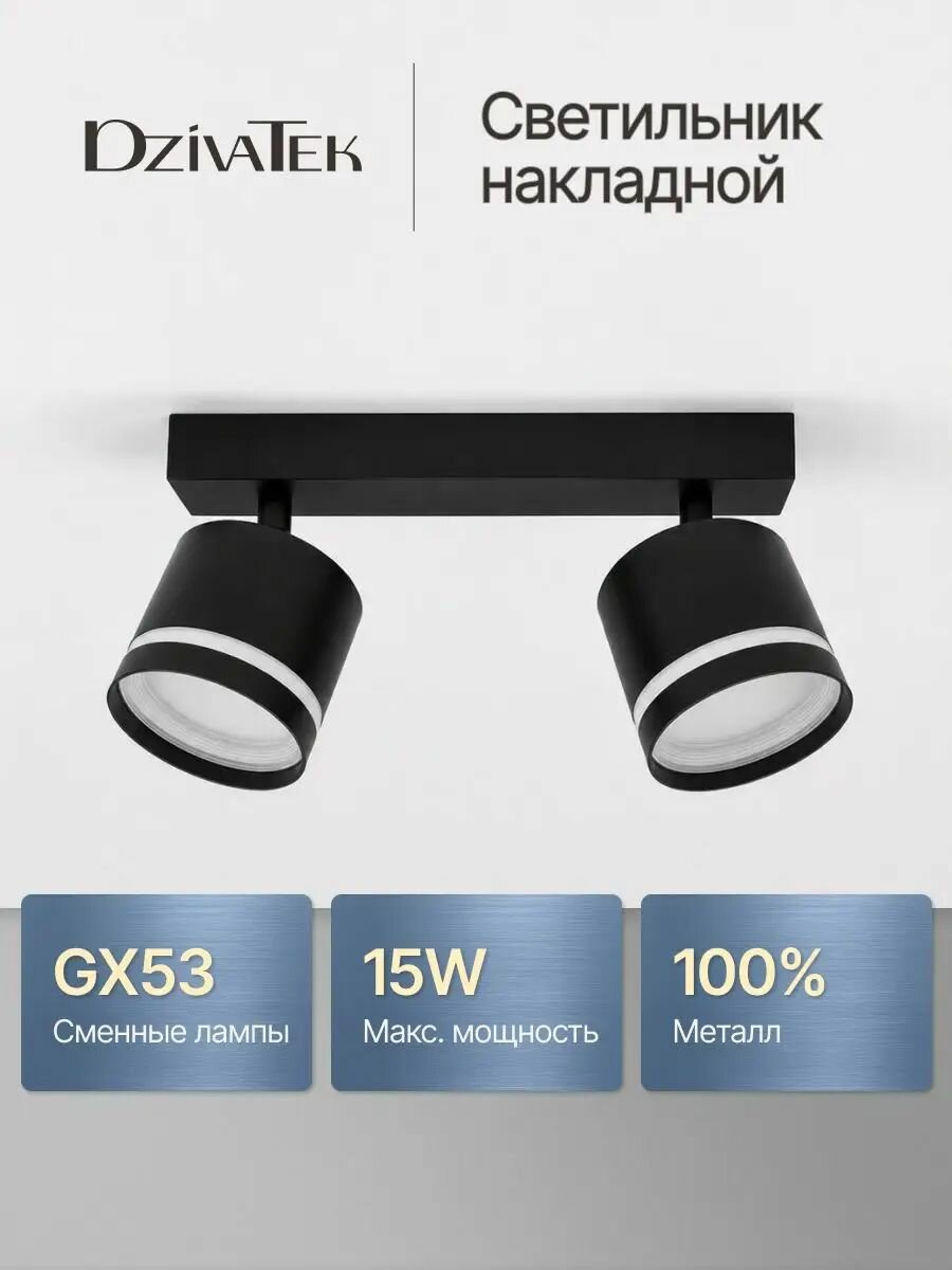 Светильник потолочный накладной GX53 / Люстра на 2 лампы / Черный поворотный спот DzivaTek-mk