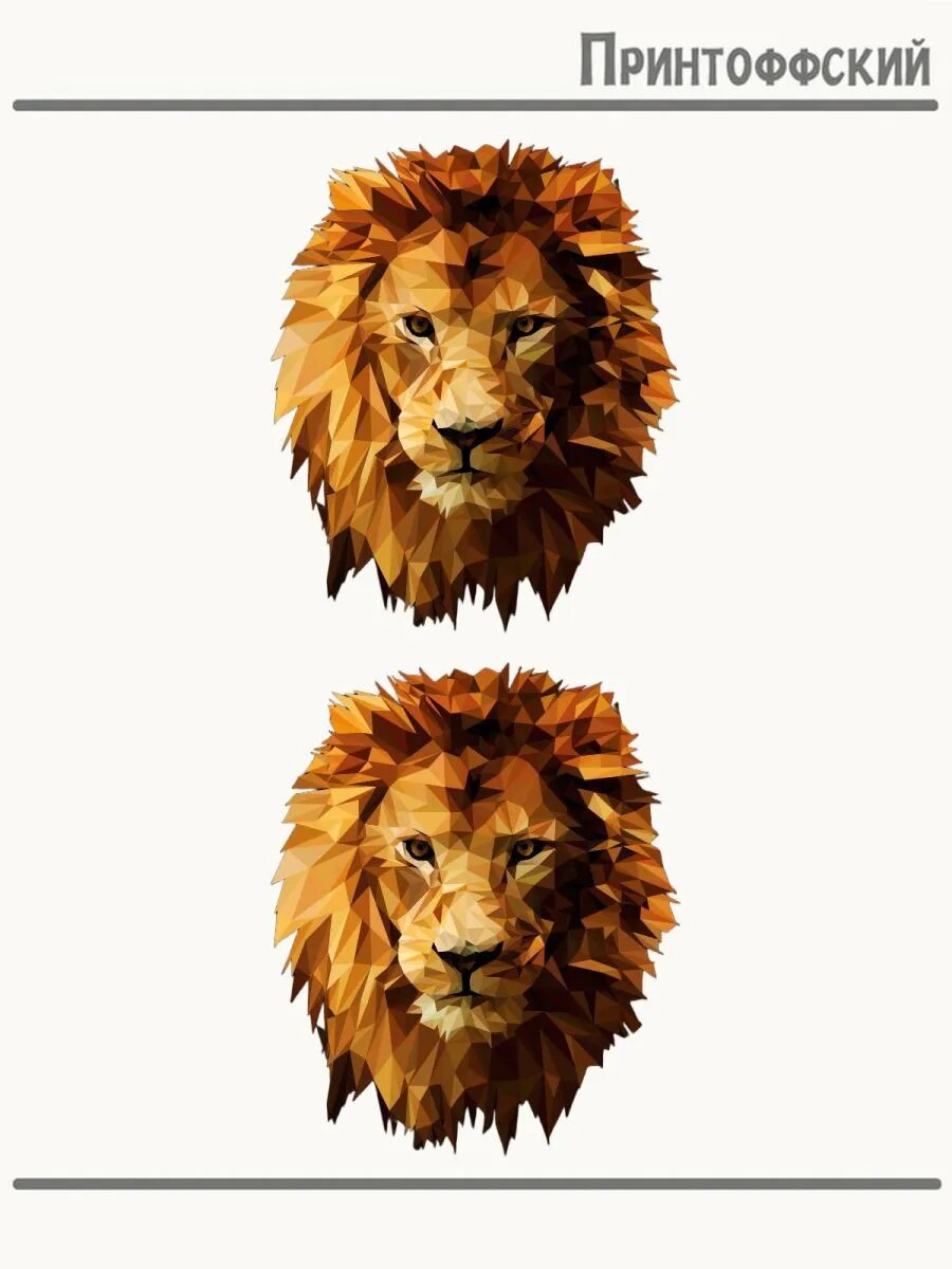 2-е (Две) Термонаклейки лев животное lion